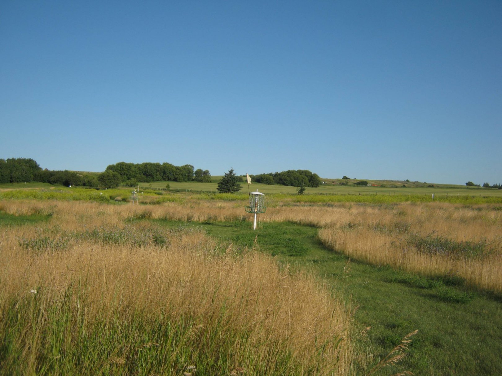 Murray Disc Golf - Watrous Manitou
